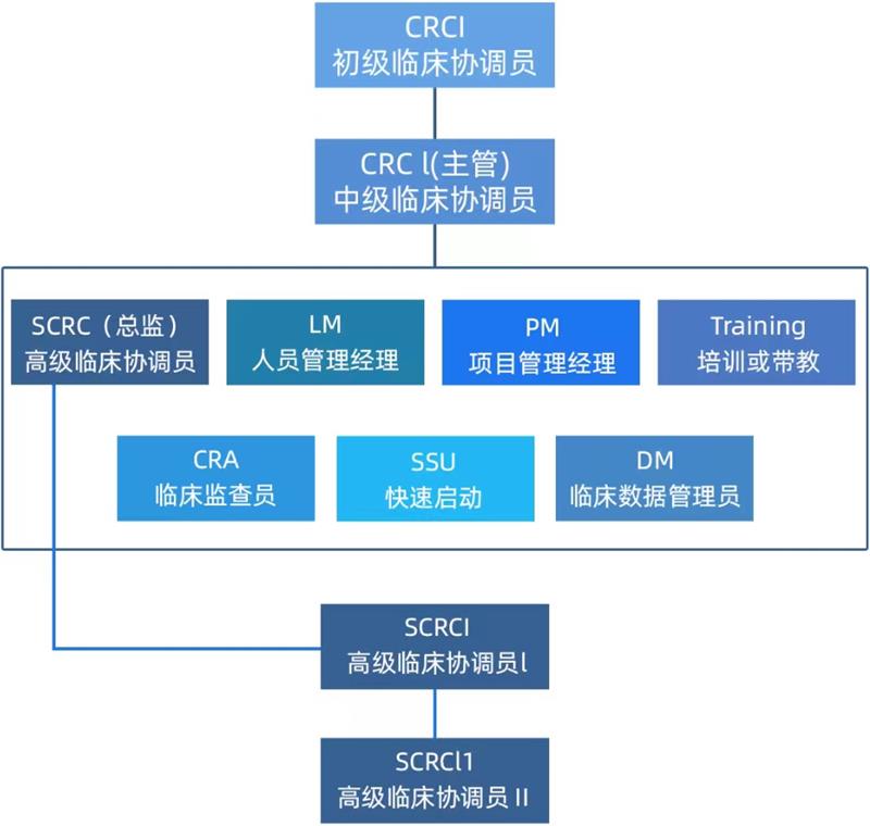 临床研究协调员CRC培训课程-聚力临研-【学费，地址，点评，电话查询】-好学校